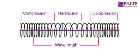 Longitudinal Wave Definition Examples Formula Diagram