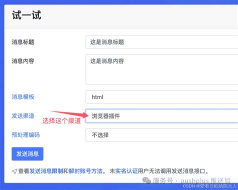 Pushplus浏览器插件使用教程pushplus推送加怎么用 Csdn博客 Pushplus浏览器插件使用教程pushplus推送加怎么用 Csdn博客