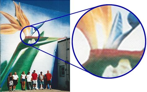 bitmap vs vector images attention getters