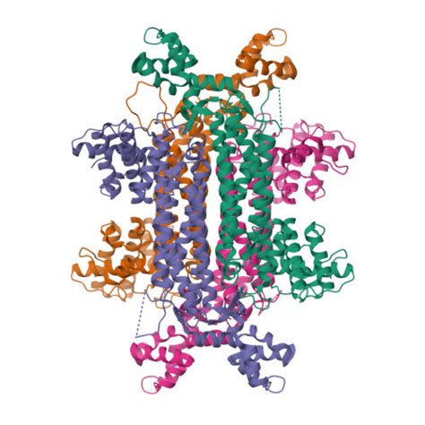 Rcsb Pdb 3qbp Crystal Structure Of Fumarase Fum From Mycobacterium