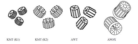 Illustration Of Biofilm Growth On Different Carriers Surfaces Ifas Download Scientific