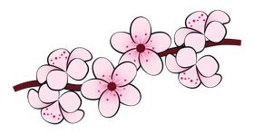 Cherry Blossom Clipart Free Download