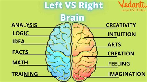 Left Brain Vs Right Brain Characteristics