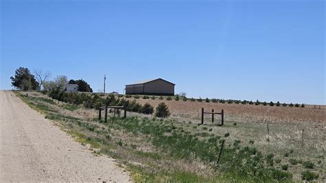 South Limon Grass Reck Agri