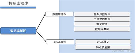 Dba 数据库管理 部署mysql 服务，基础查询 Csdn博客