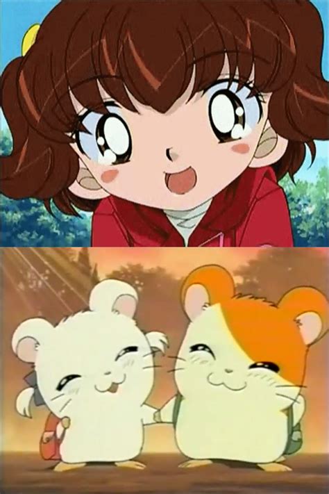 Hamtaro And Laura Laura Harunagallery The Hamtaro Wiki Fandom