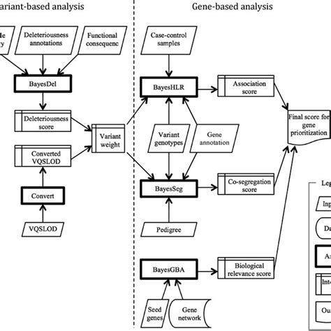 Flowchart Of Gene Prioritization Procedures By Perch Download