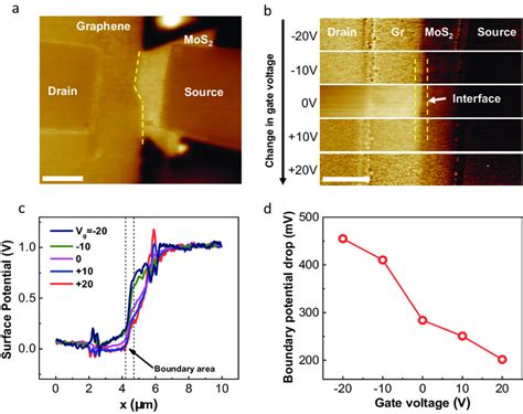 Kpfm Measurements A Kpfm Mapping Of The Mos 2 Graphene Transistor Download Scientific Diagram
