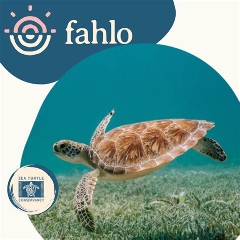 Fahlo Sea Turtle Tracking Bracelet