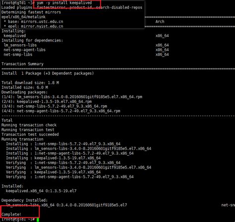 linux keepalived（vrrp协议）高可用集群搭建 linux vrrp csdn博客