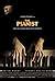 The Pianist 2002 Awards Imdb