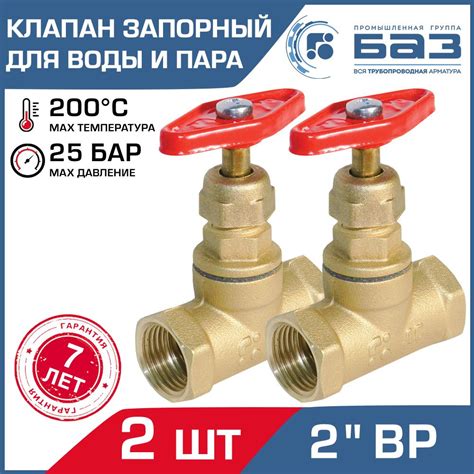 Клапан запорный 2 шт для воды и пара 2 внр ДУ50 БАЗ 15Б1п А70