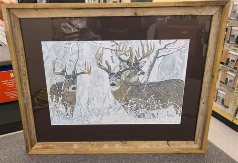 Whats Everyones Opinions On Blackout Bows R Bowhunting