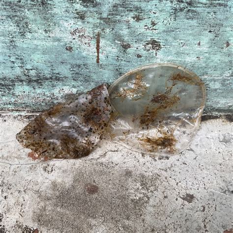 Seaweed Bioplastic Tiny Farm Lab