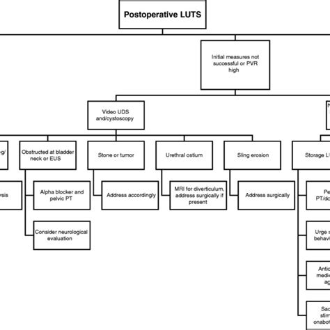 Algorithm For The Management Of Postoperative Lower Urinary Tract