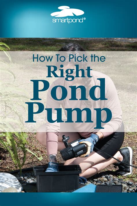 How To Raise Pond Pump At Robert Bullock Blog
