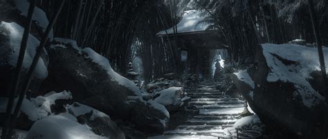 Into The Woods Aashutosh Patel Rimaginarypathways