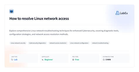 Linux 네트워크 접근 문제 해결 가이드 Labex