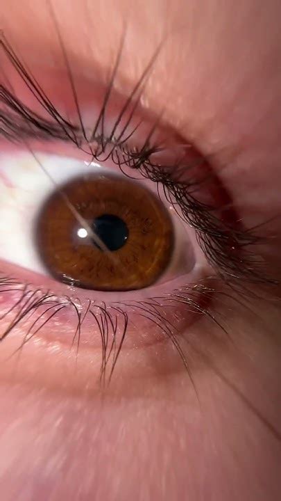 Смотрите какие глазки глаза тренд Youtube