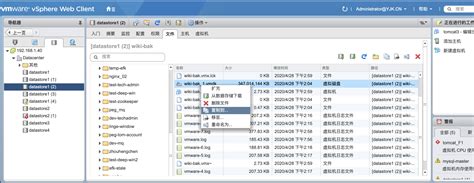问题已处理 Vmware出现 Readonly System且无法进入单用户模式虚拟机变长 Readonly System Csdn博客