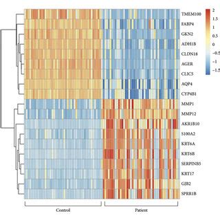 The Heatmap Plots Of The Top 10 Genes A GSE17681 B GSE18842 Download Scientific Diagram