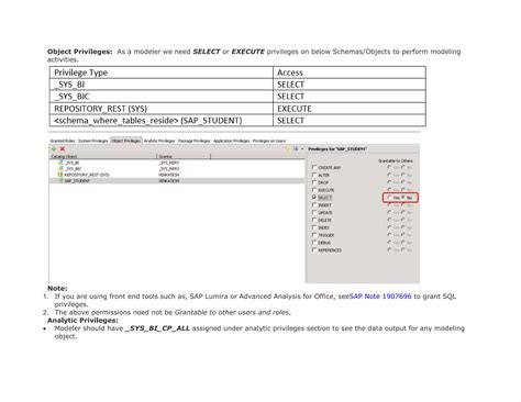 Saphanasecurityoverviewonlinereseardocx Databases Computer Software And Applications