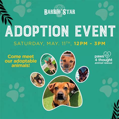 May 11 Barrio Star X Paws4thought Animal Rescue Dog Adoption Event San Diego Ca Patch