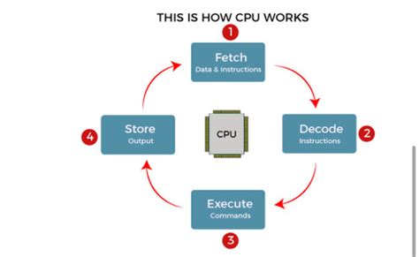 CPU Flashcards Quizlet