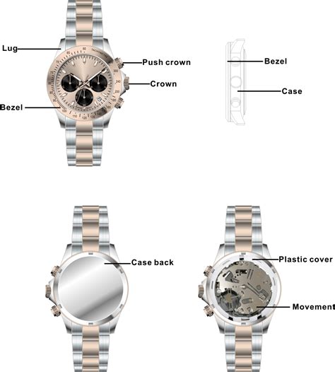 What Is The Case Of A Watch