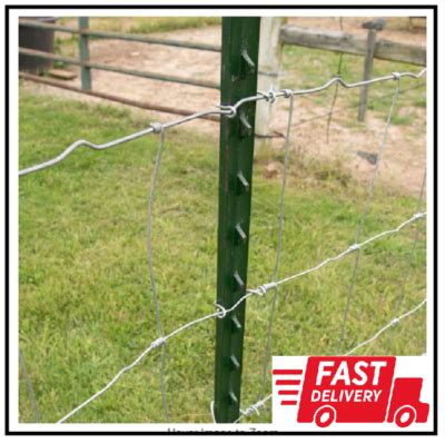 Metal T Post Fence