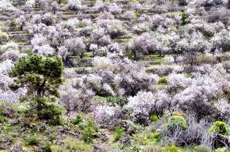 Aprender A Programar Con Python Conjuntos Set Y Frozenset