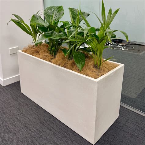 Trough Planter Plant And Pot Nz