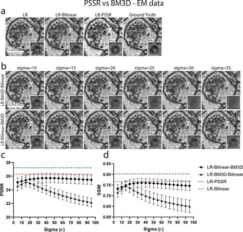 comparison of pssr vs bm3d on em data pssr restoration was compared to download scientific