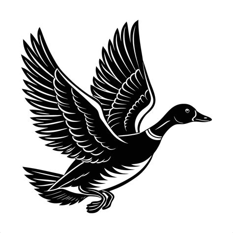 Flying Duck Outline 57995215 Vector Art At Vecteezy