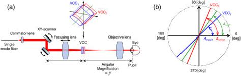 Schematic Of A The OCT Sample Arm Which Equips A VCC And B The Download Scientific Diagram