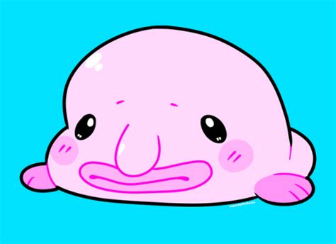 Blob Fish On Tumblr