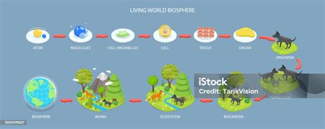 살아있는 세계 생물권의 3d 아이소메트릭 플랫 벡터 개념 그림 식물에 대한 스톡 벡터 아트 및 기타 이미지 식물 인간의 조직 3차원 형태 Istock
