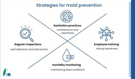 Mold Prevention In Manufacturing Stay Ahead Im Biotechnology