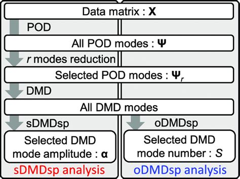 Data Matrix Processing Procedure For Sdmdsp And Odmdsp Download
