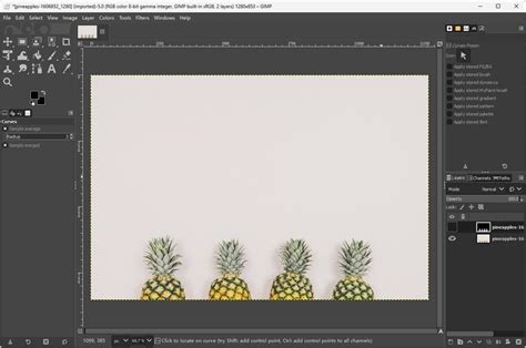 5 Methods How To Remove Background In GIMP