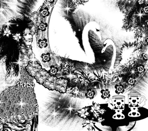 A Beginners Guide To Understanding Oracle Cards Evina Cards