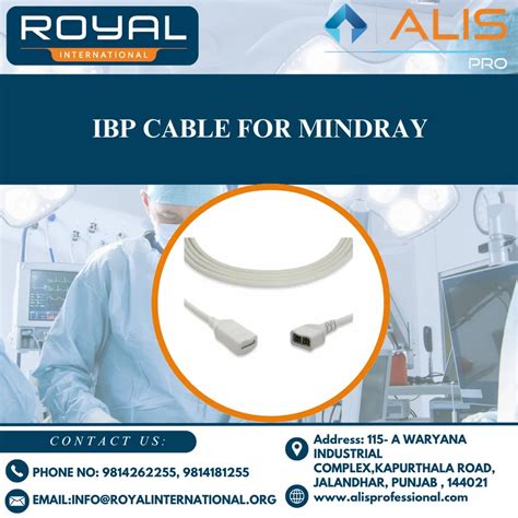 Ibp Cable For Mindray At ₹ 600 Guru Ram Das Nagar Jalandhar Id