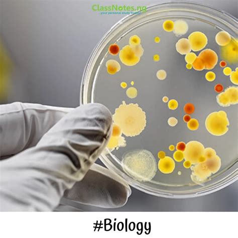 Biology Ss1 Classnotes Ng