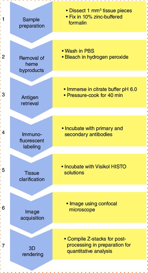 Pbs Buffer Recipe For Cell Culture Protocol Bryont Blog