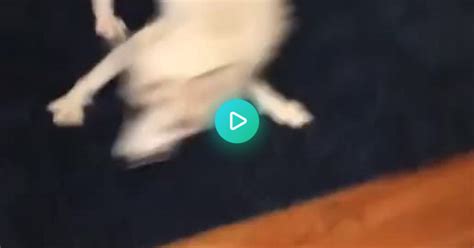 Firefox Crashing Or Updating Or Too Much Fast Internet Album On Imgur