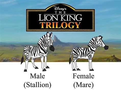 The Lion King Trilogy Plains Zebra Reference By 1200924 On Deviantart