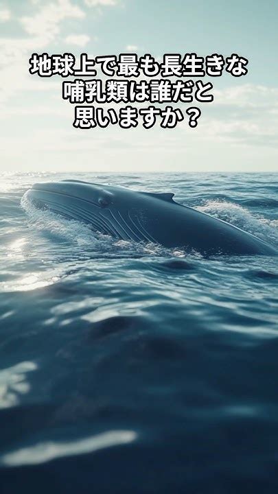 最も長生きな哺乳類は何年生きるの？ クジラの雑学その25 水族館 雑学 クジラ Youtube