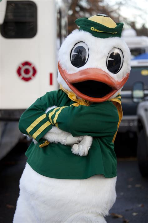 The Oregon Duck Wikipedia