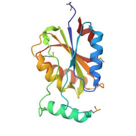 Rcsb Pdb 3edo Crystal Structure Of Flavoprotein In Complex With Fmn Yp 193882 1 From