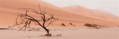 Augusta Dwyer On Linkedin State Of The Planet 3 Things We Learned